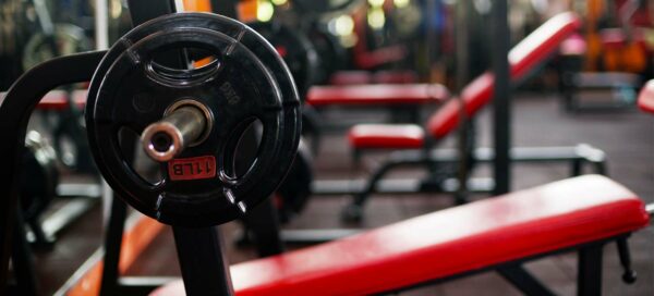 The Whole-Body Weight Bench Workout | Exercise